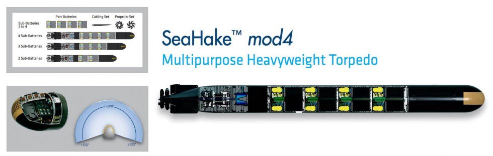 SeaHake Mod4 | The deadly torpedoes of the Greek submarines - PHOTOS ...