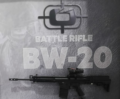 BW20 | Pakistan’s G3-based rifle showcased at World Defense Show in ...