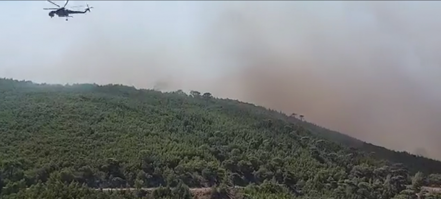 57 Δασικές Πυρκαγιές το Σάββατο - Οι περιοχές υψηλού κινδύνου για την ...