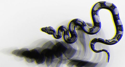 Snake | The USA has neutralized Russia's most advanced virus | DEFENCE ...